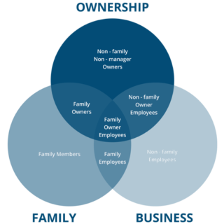 Understanding Family Governance Cervin Family Office